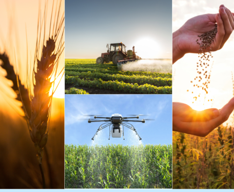 The Future of Automation in Agriculture: Smart Farming & Robotics - Devomech Solutions